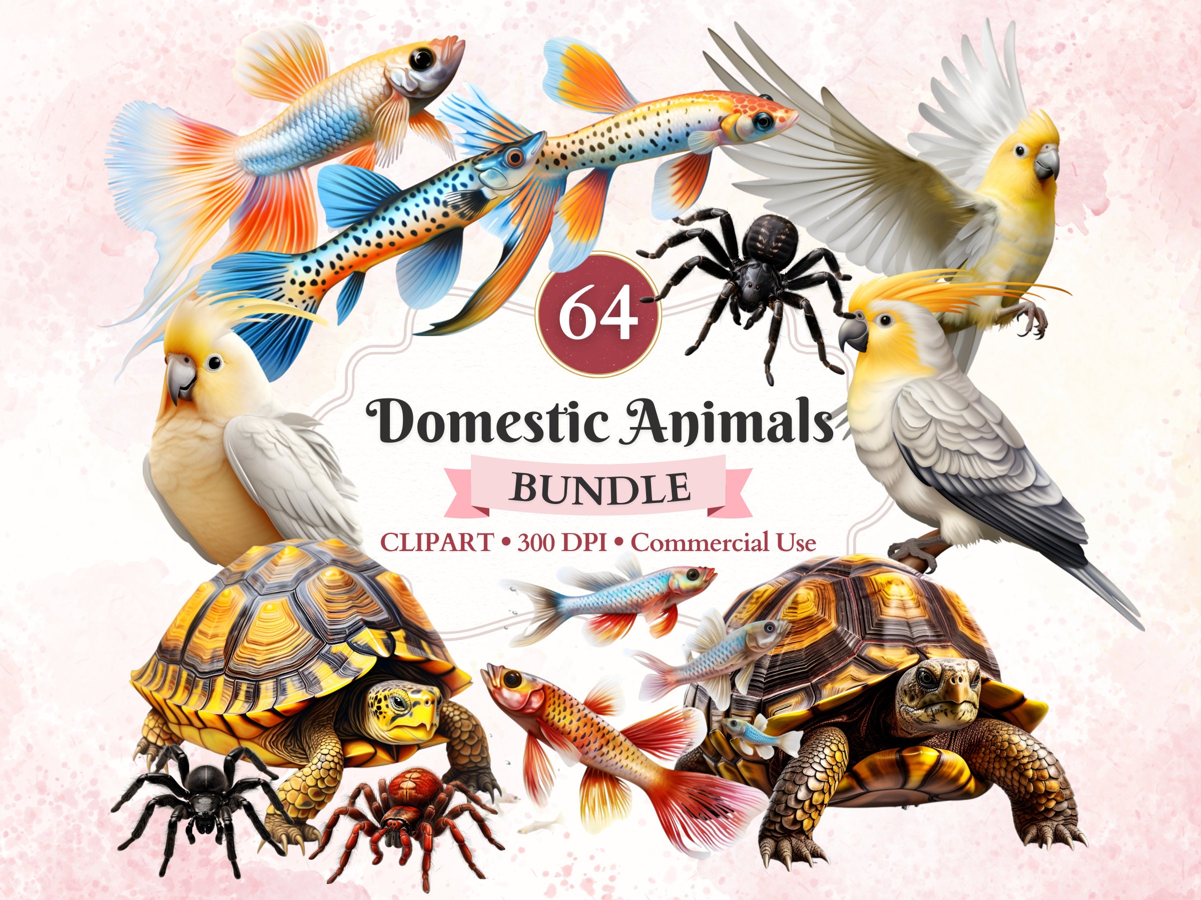 Domestic Animals Clipart Bundle, Tarantulas, Guppy, Cockatiel, Cute ...
