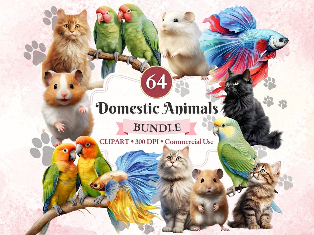 Domestic Animals Clipart Bundle, Betta Fish Png, Hamster Clipart, Cat ...