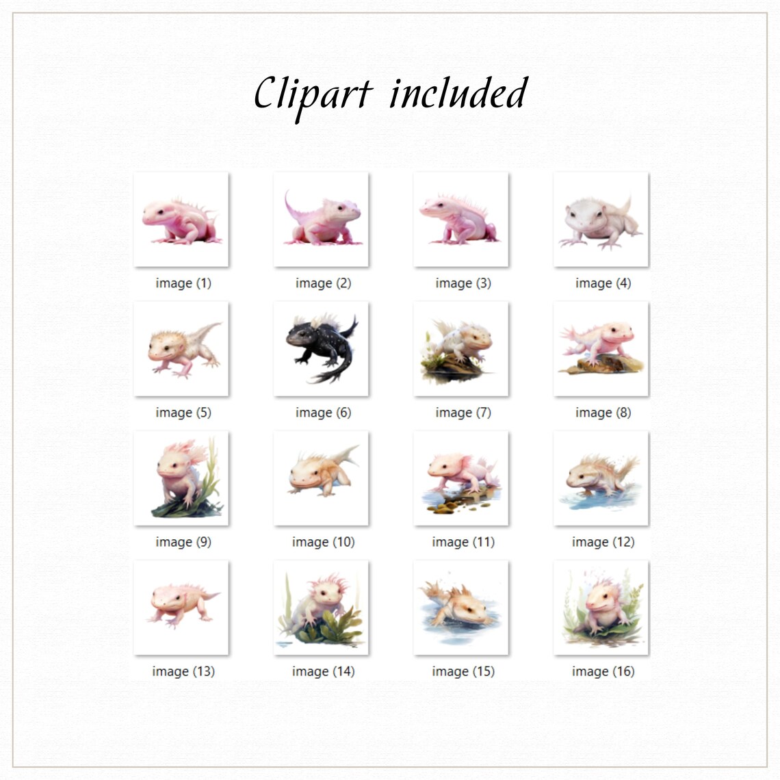 Axolotl Clipart, Axolotl Png, Mexican Salamander, Pink Salamander ...