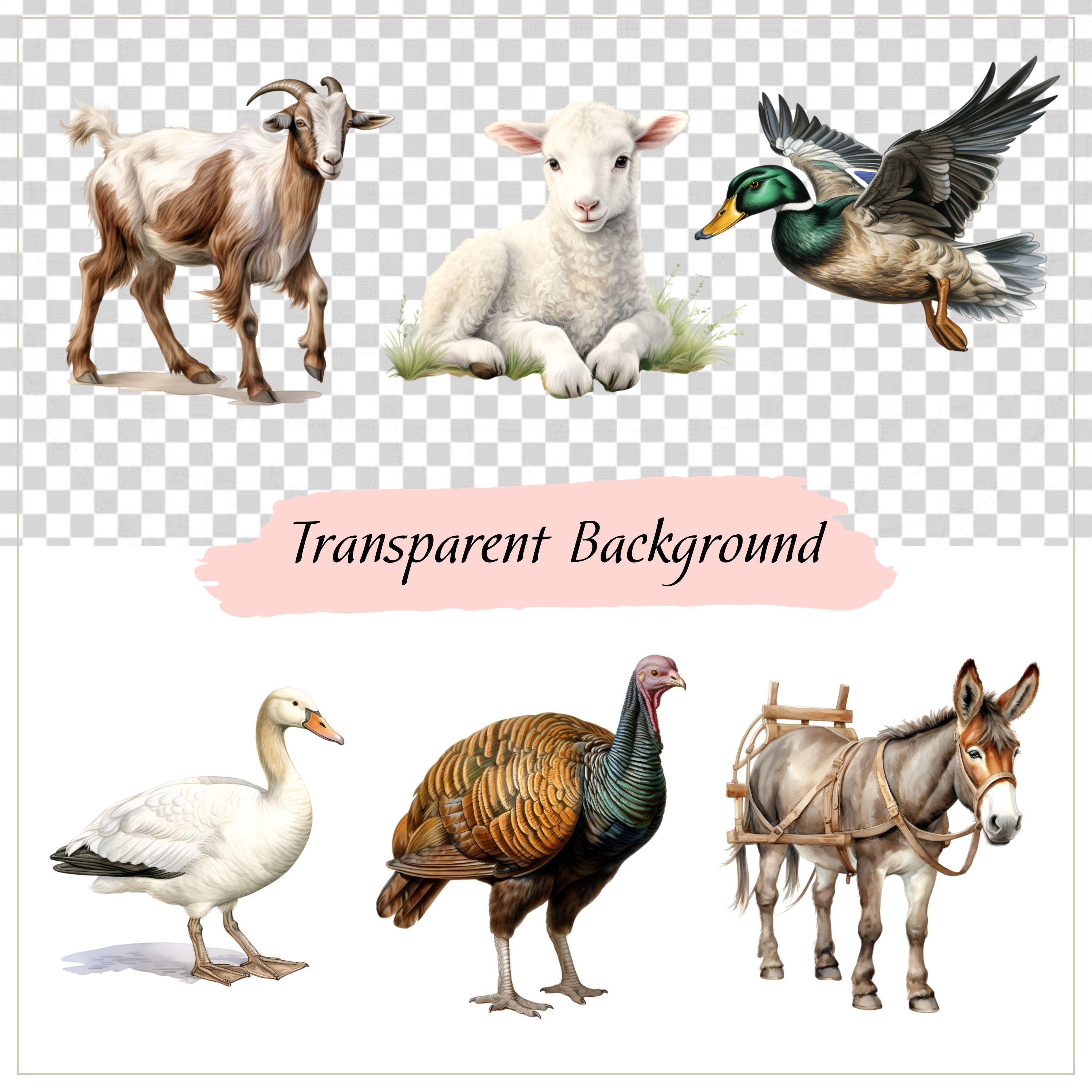 Farm Animals Clipart Bundle, Farm Animals Images, Duck, Turkey, Donkey ...