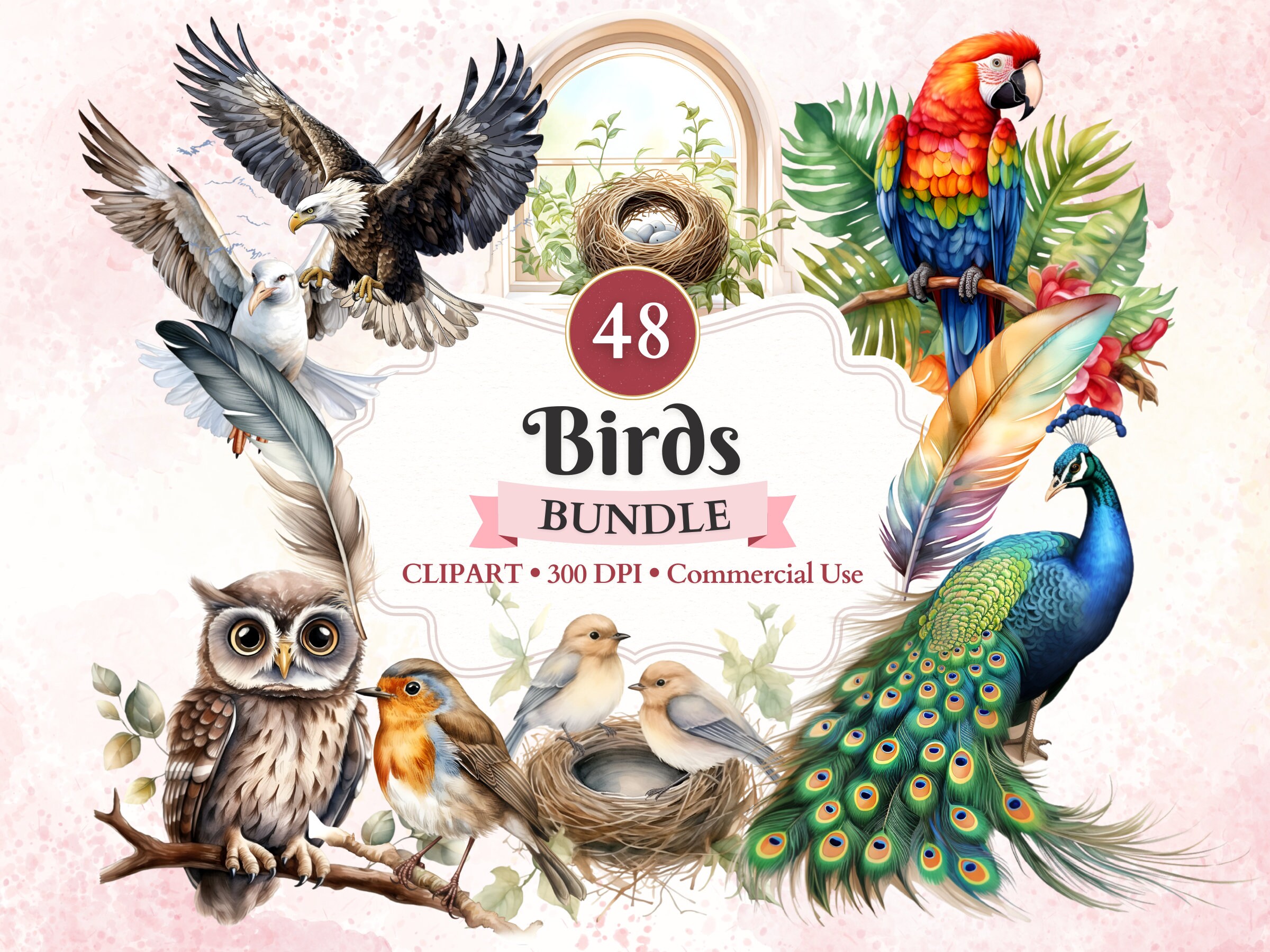 Birds Clipart Bundle, Bird Png, Bird Silhouette, Bird Vector, Nest ...