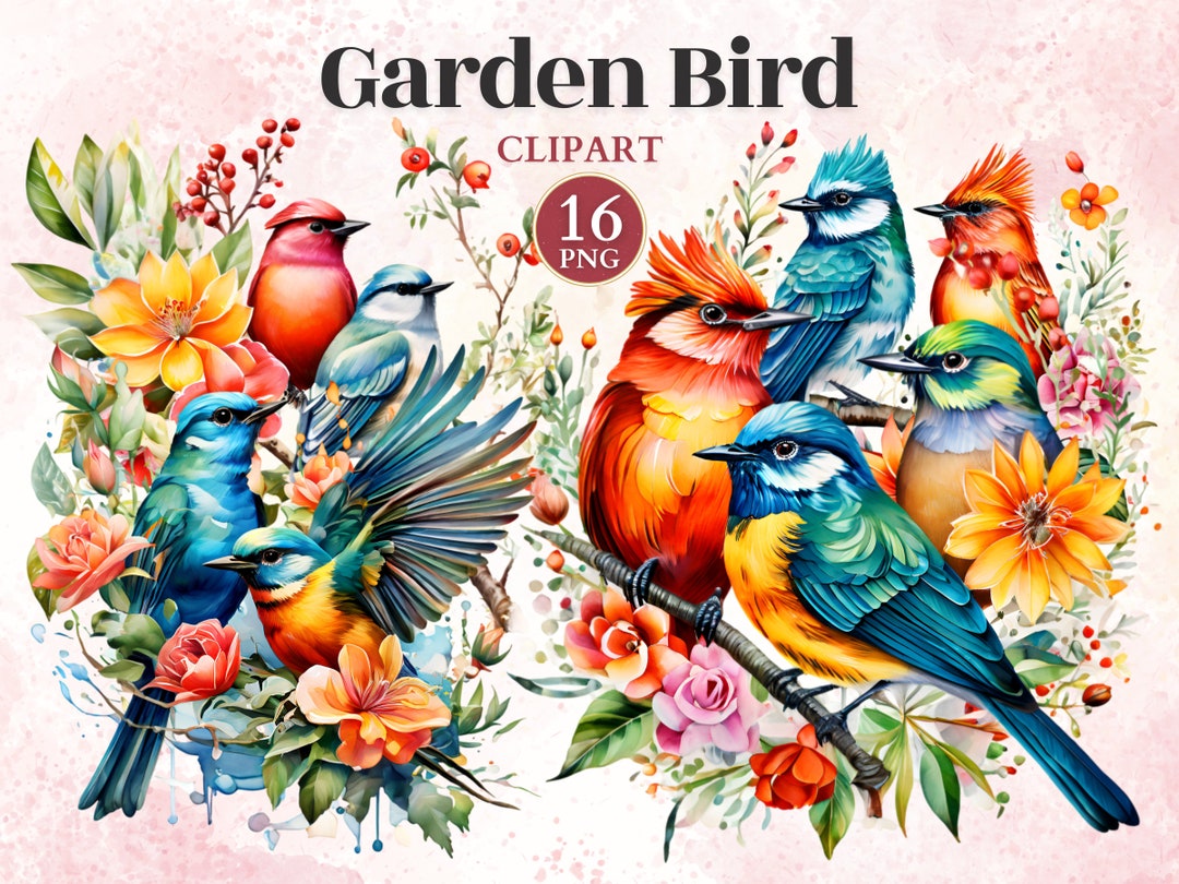 Garden Bird Clipart, Garden Designs, Bird Vector, Springtime Graphics ...