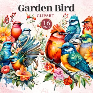 Garden Bird Clipart, Garden Designs, Bird Vector, Springtime Graphics ...