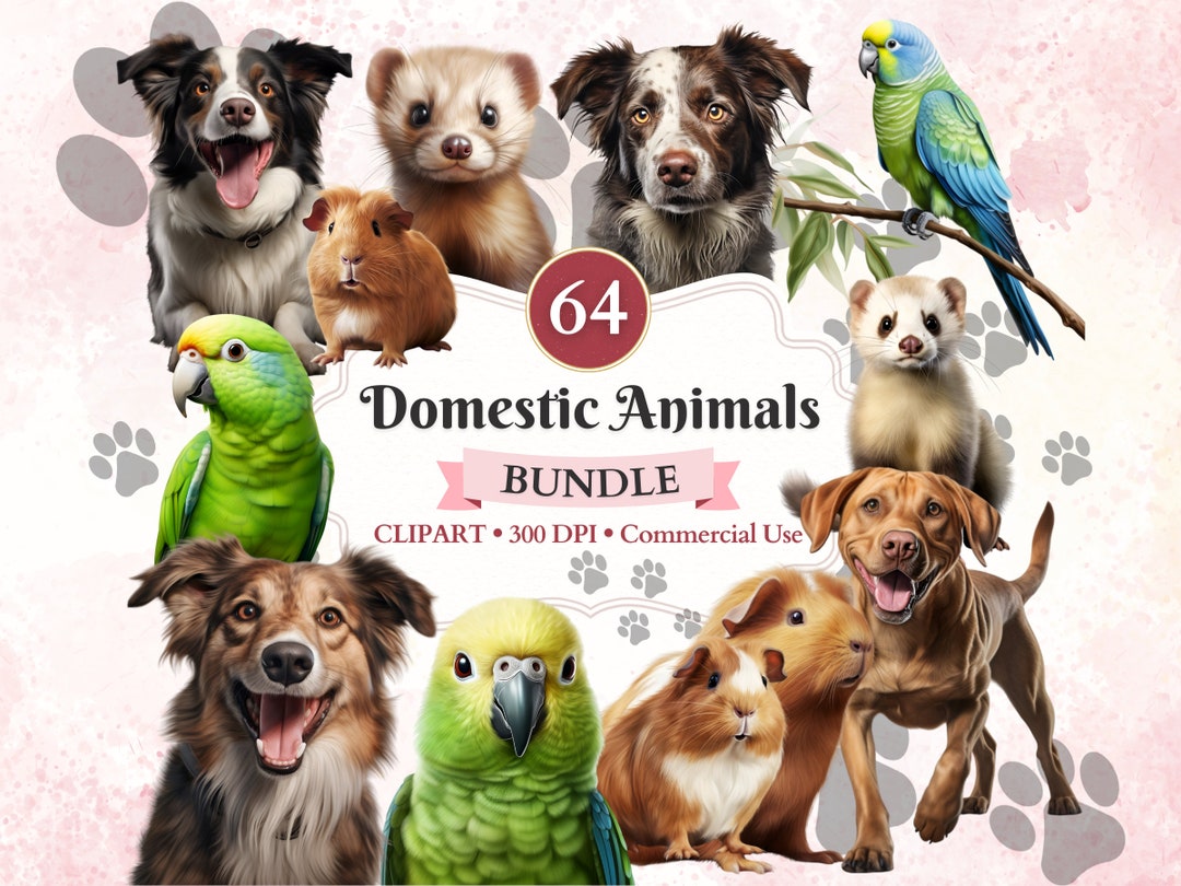 Domestic Animals Clipart Bundle, Cute Guinea Pig, Dog Clipart, Parakeet ...