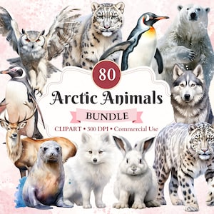 Arctic Animals Clipart Bundle, North Pole, Penguin, Reindeer, Seal ...