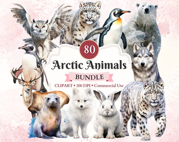 Arctic Animals Clipart | Digital Stamps | Vector | Polar Bear | Penguin ...
