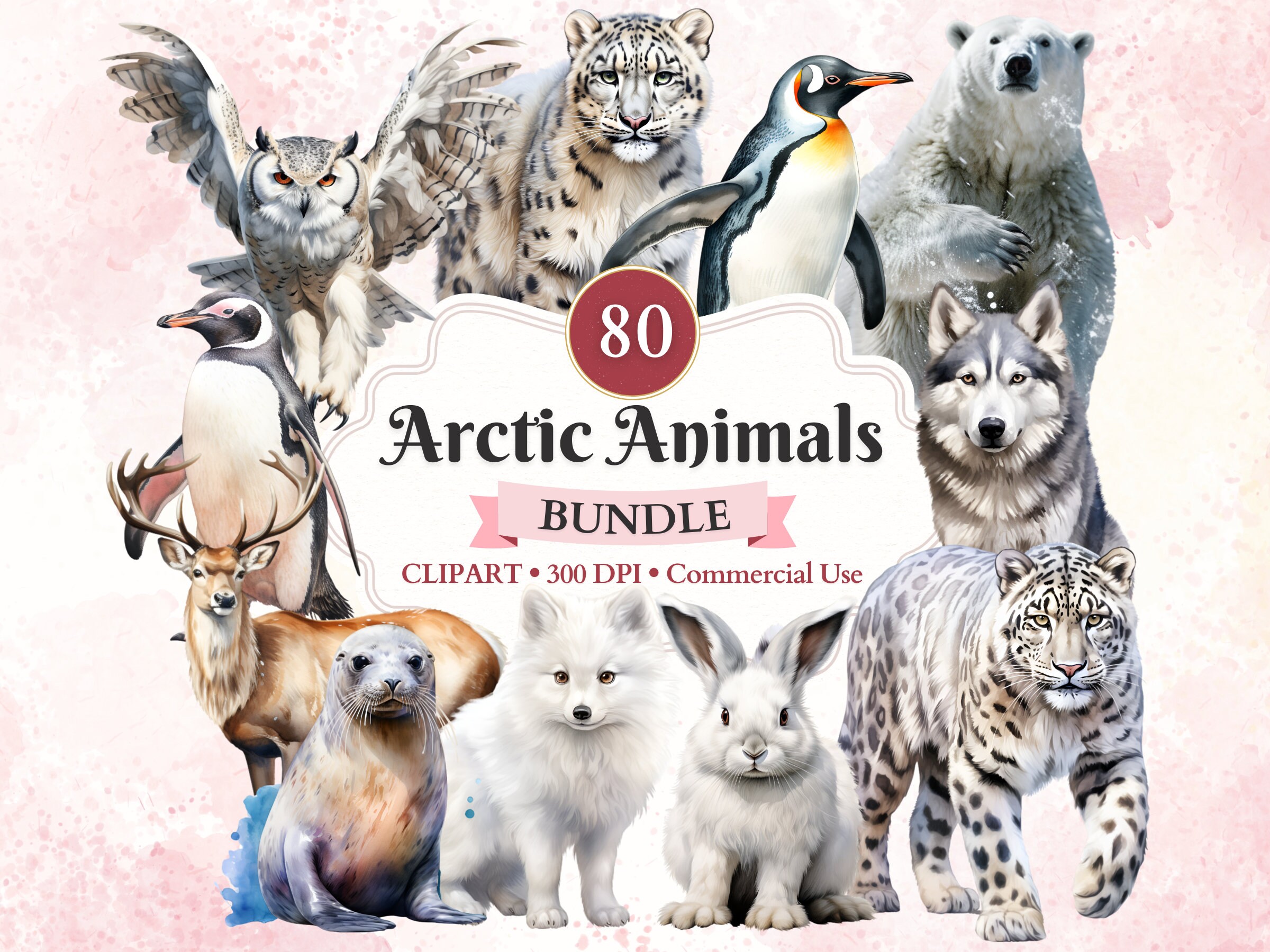Arctic Animals Clipart Bundle, North Pole, Penguin, Reindeer, Seal ...