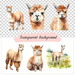 Alpaca Clipart, Alpaca Png, Alpaca Silhouette, Cute Alpaca, Alpaca ...
