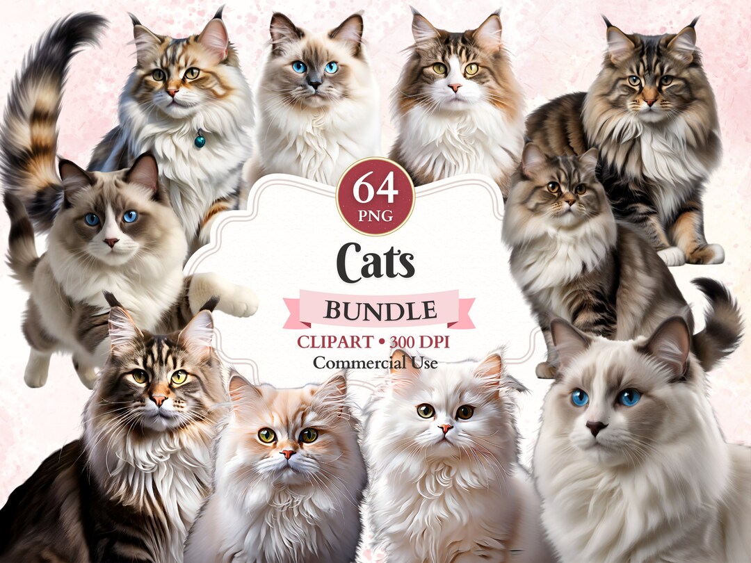 Cats Clipart Bundle, Domestic Animals, Ragdoll, Persian Cat, Maine Coon ...