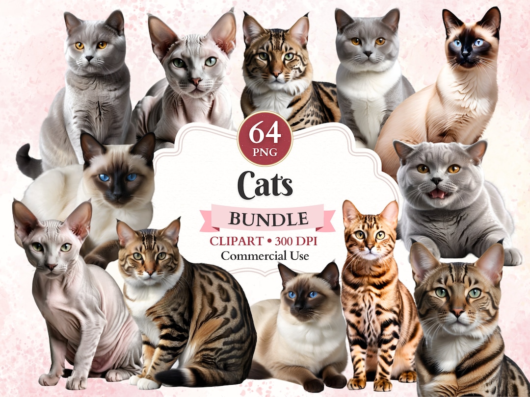 Cats Clipart Bundle, Domestic Animals, Siamese Cat, Bengal Clipart ...