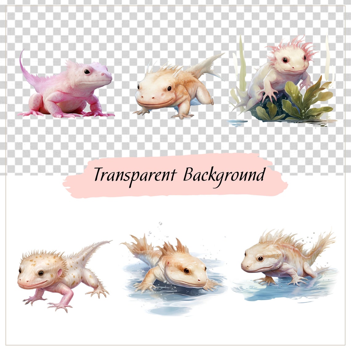 Axolotl Clipart, Axolotl Png, Mexican Salamander, Pink Salamander ...
