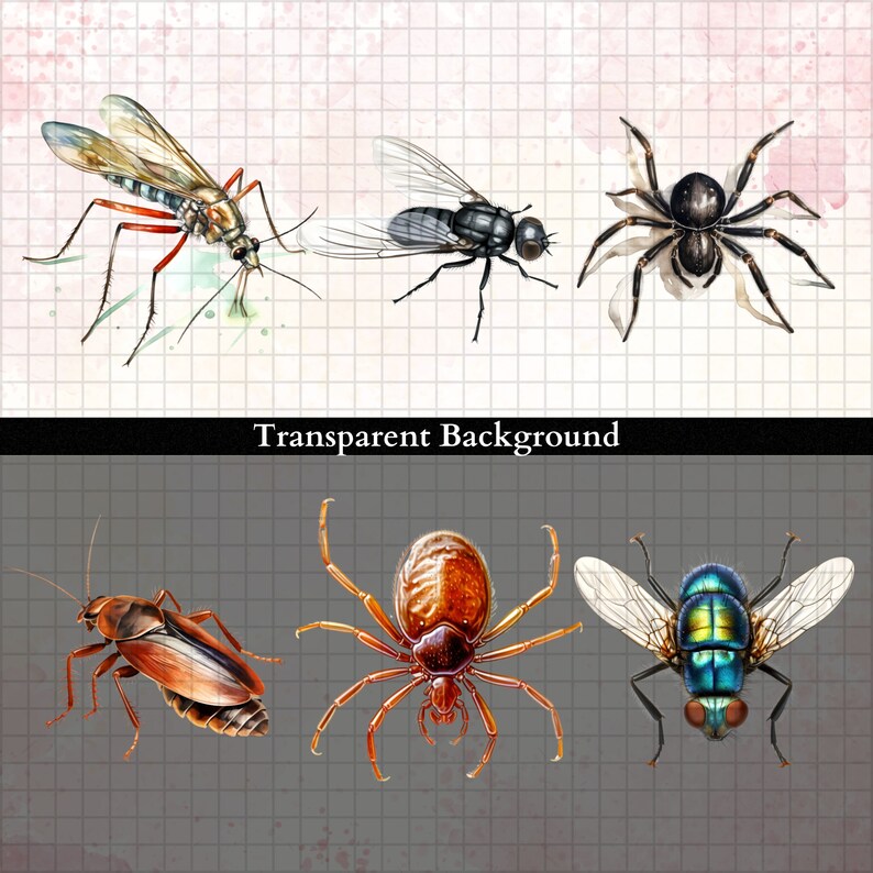 Household Pests Clipart Bundle, Insect Clipart, Silhouette, Entomology ...