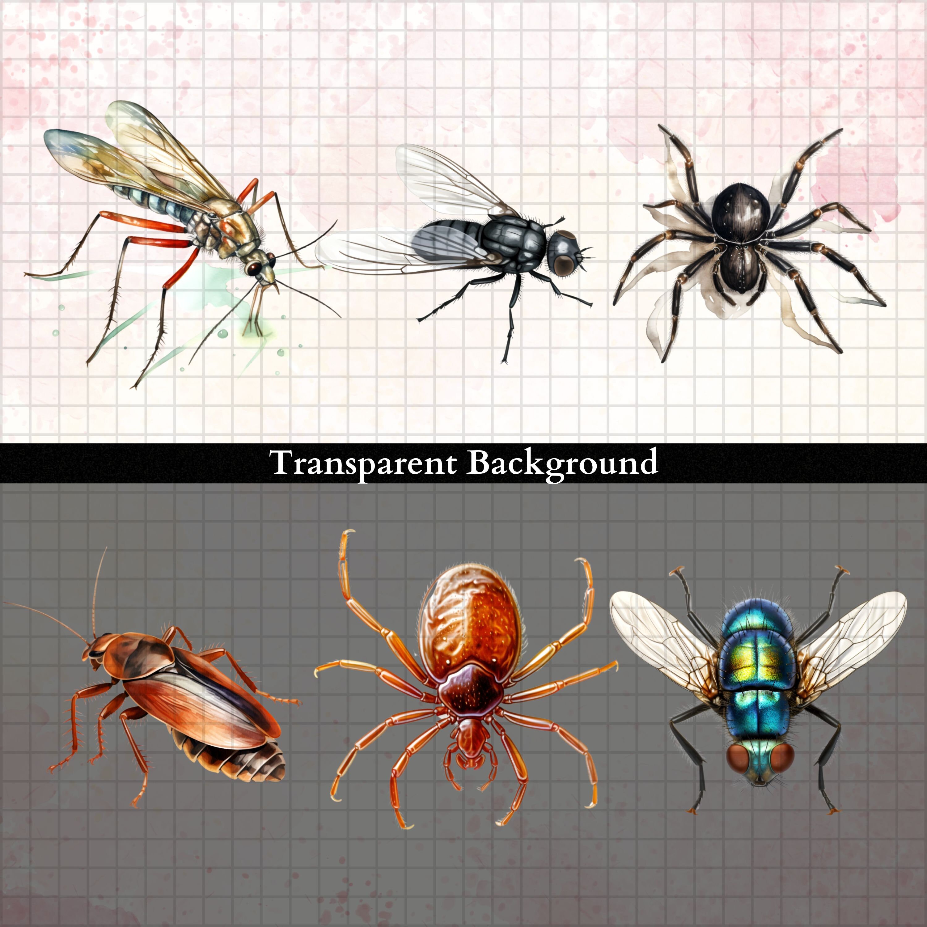 Household Pests Clipart Bundle, Insect Clipart, Silhouette, Entomology ...