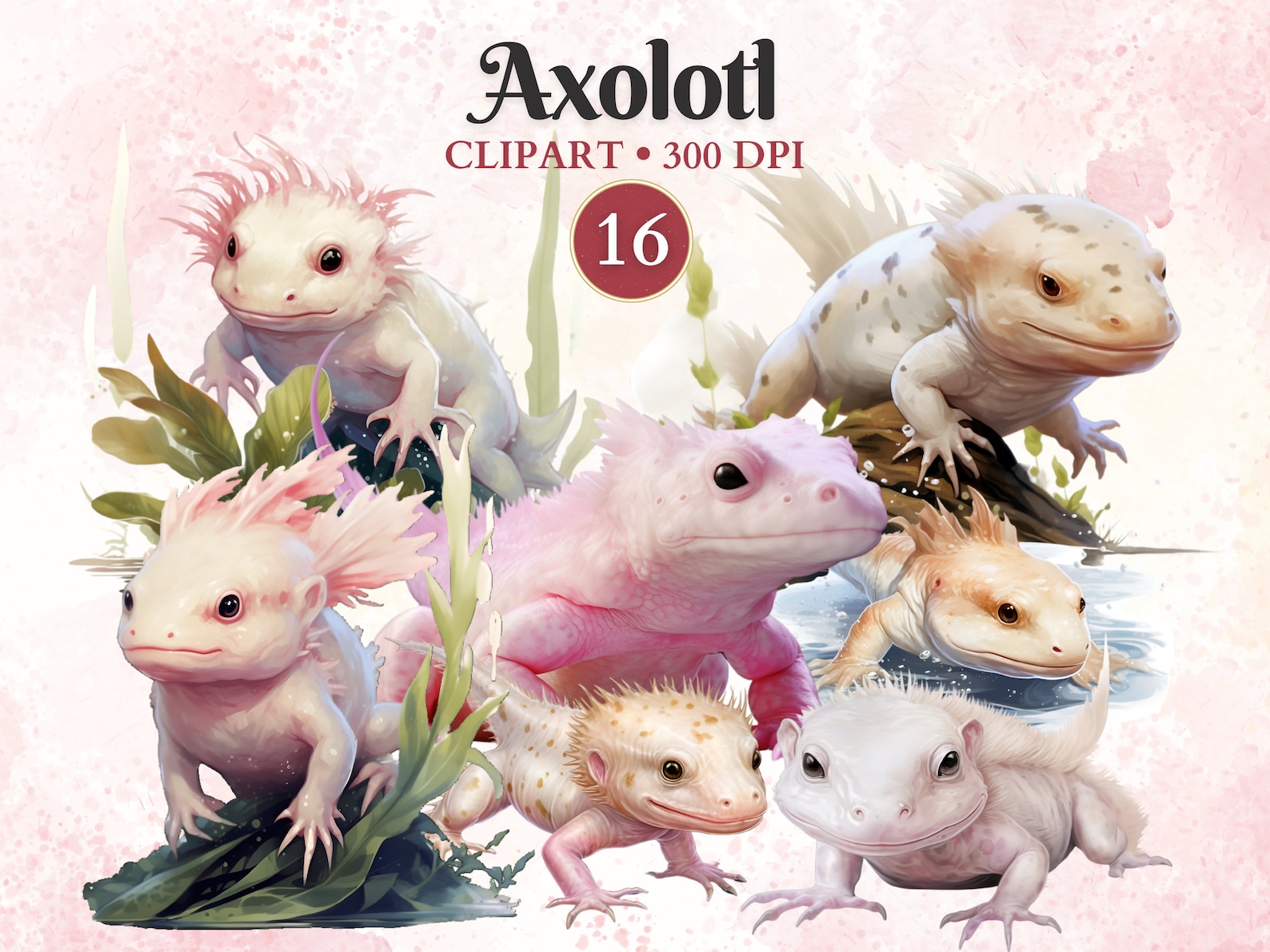 Axolotl Clipart, Axolotl Png, Mexican Salamander, Pink Salamander ...