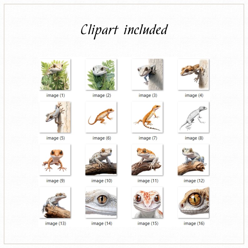 Gecko Clipart, Gecko Png, Lizard Clipart, Lizard Png, Lizard Silhouette ...