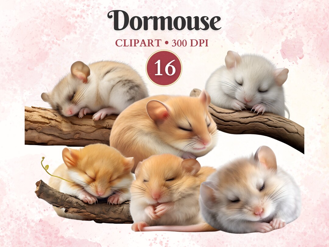 Dormouse Clipart, Wild Animals, Forest Creatures Clip Art, Dormouse ...