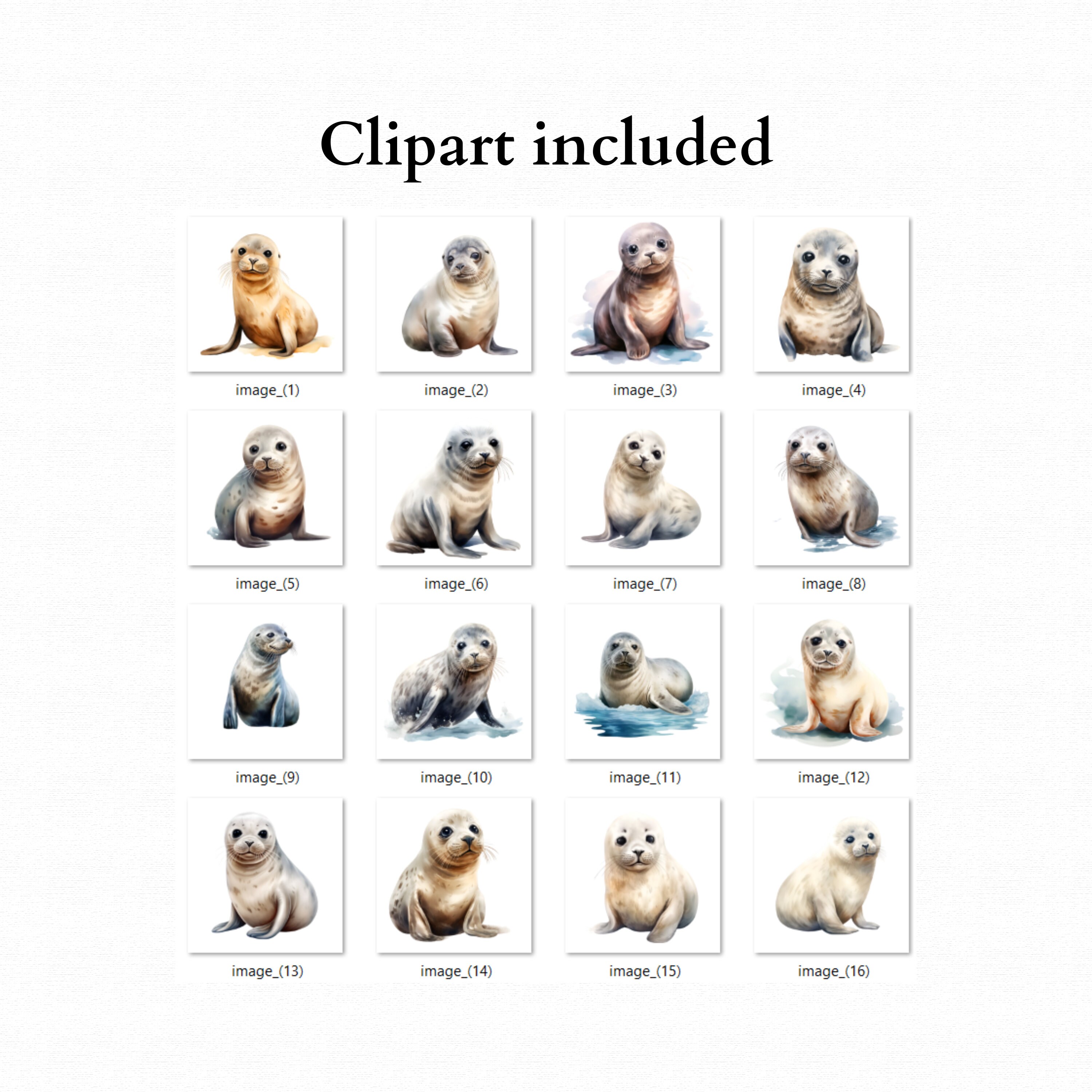 Seal Clipart, Seal Png, North Pole, Arctic Animals Clipart, Winter ...