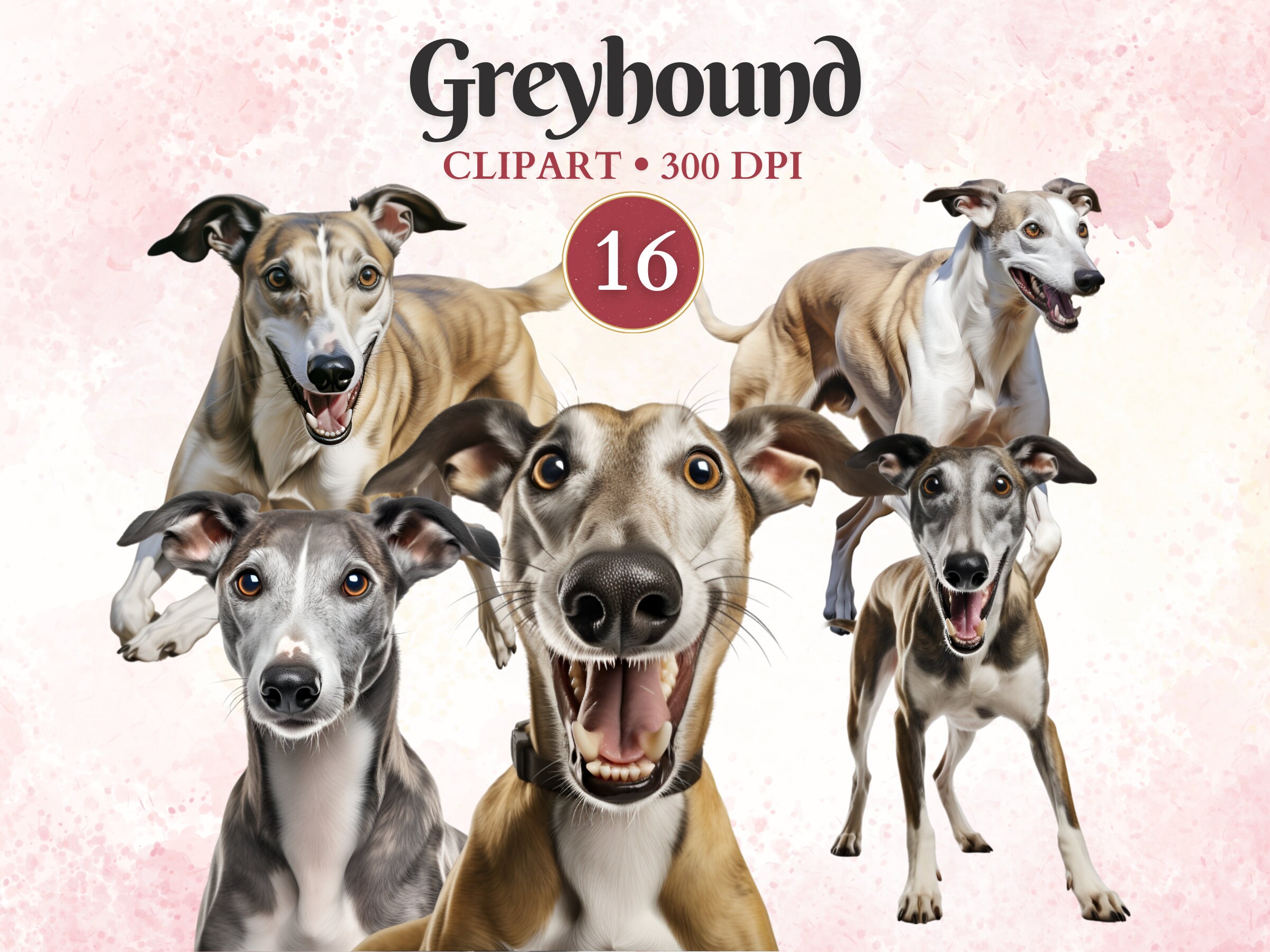 Greyhound Clipart, Italian Greyhound, Dog Silhouette Clip Art, Pet ...