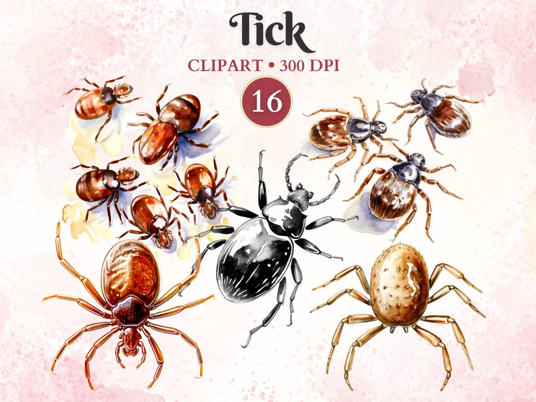 Tick Clipart, Tick Png, Tick Image, Insect Clipart, Silhouette ...