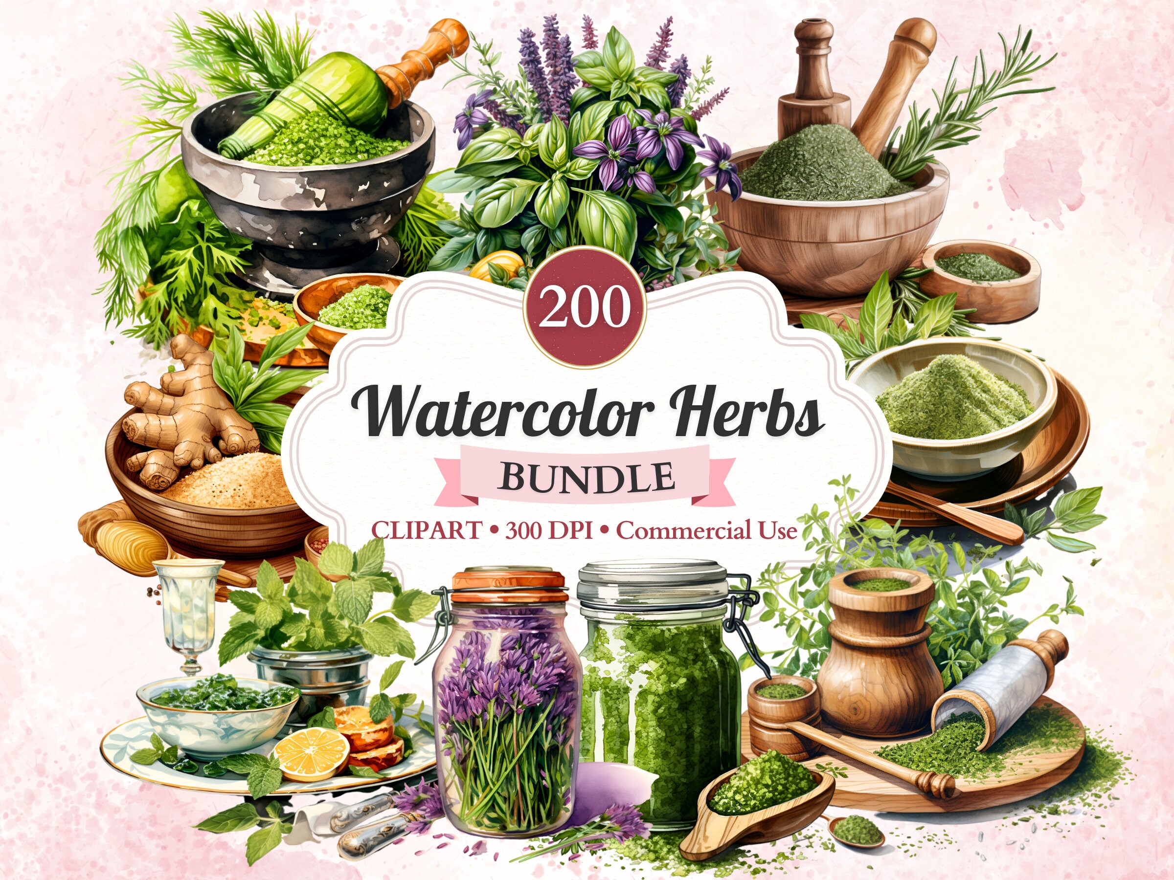 Watercolor Herbs Clipart, Bundle, Set, Herbs Png, Illustrations, Spice ...