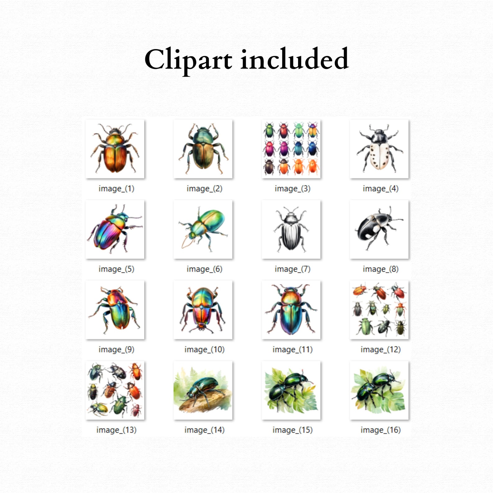 Beetle Clipart, Beetle Png, Insect Clipart, Silhouette, Entomology ...