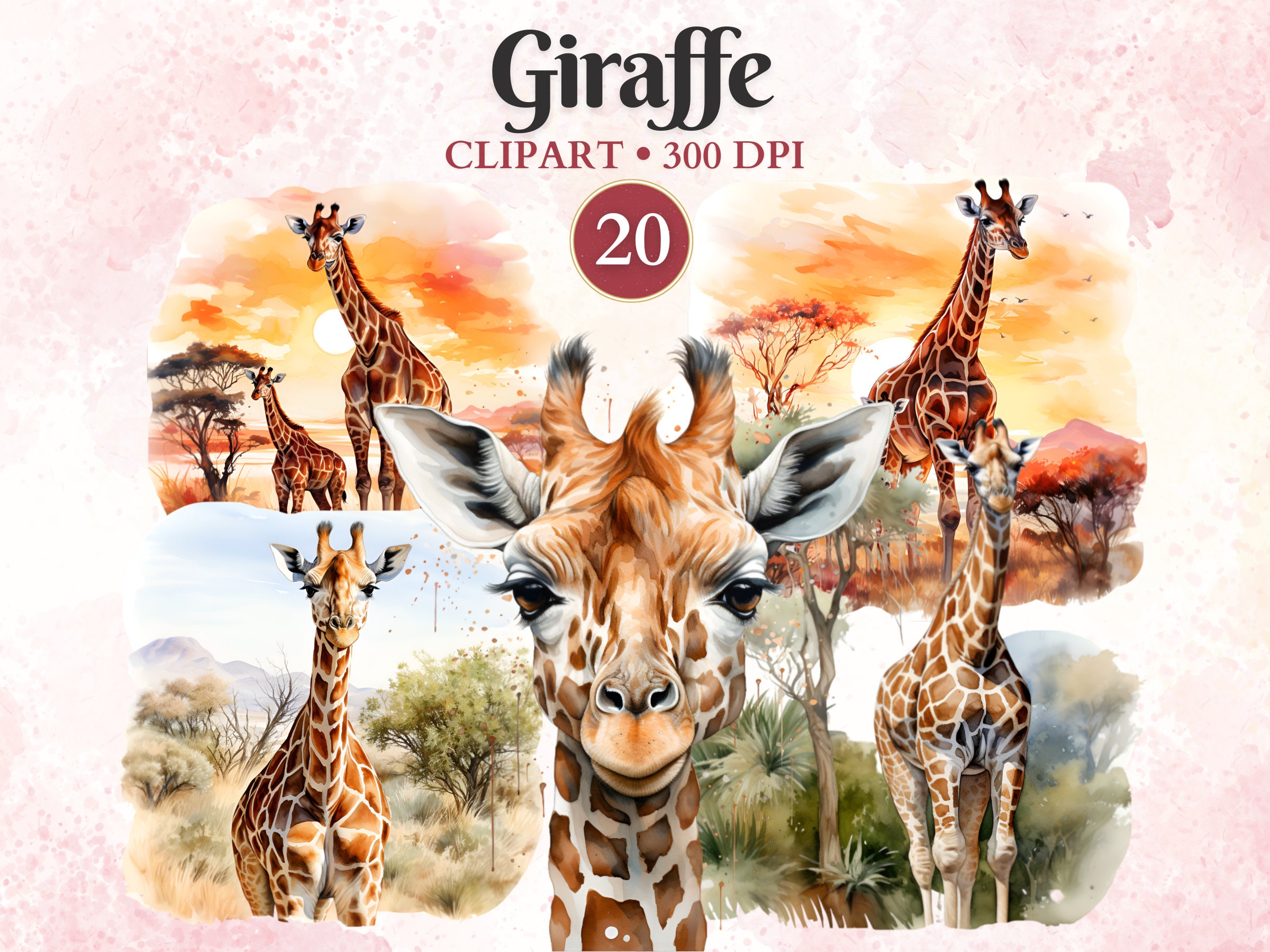 Giraffe Clipart, Watercolor Safari Clipart, Giraffe Png, Safari Animals ...