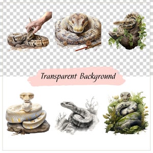 Python Clipart, Python Png, Snake Clipart, Snake Png, Serpent ...