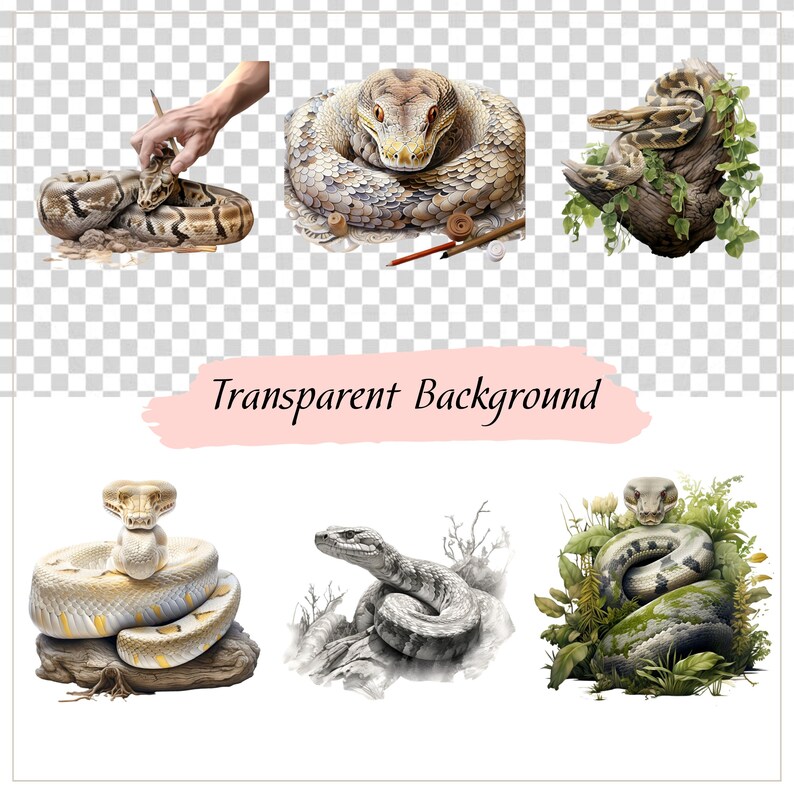 Python Clipart, Python Png, Snake Clipart, Snake Png, Serpent ...