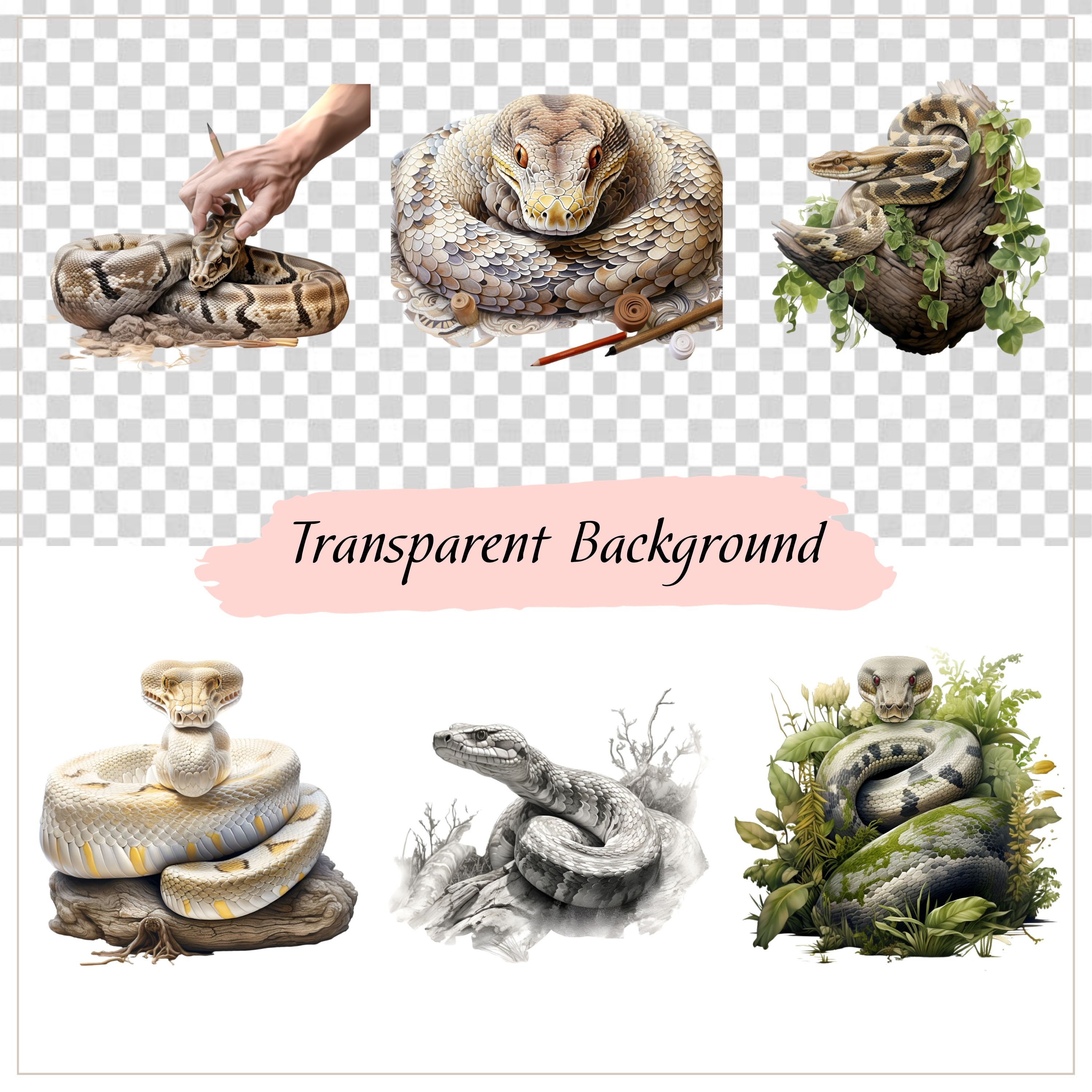 Python Clipart, Python Png, Snake Clipart, Snake Png, Serpent ...