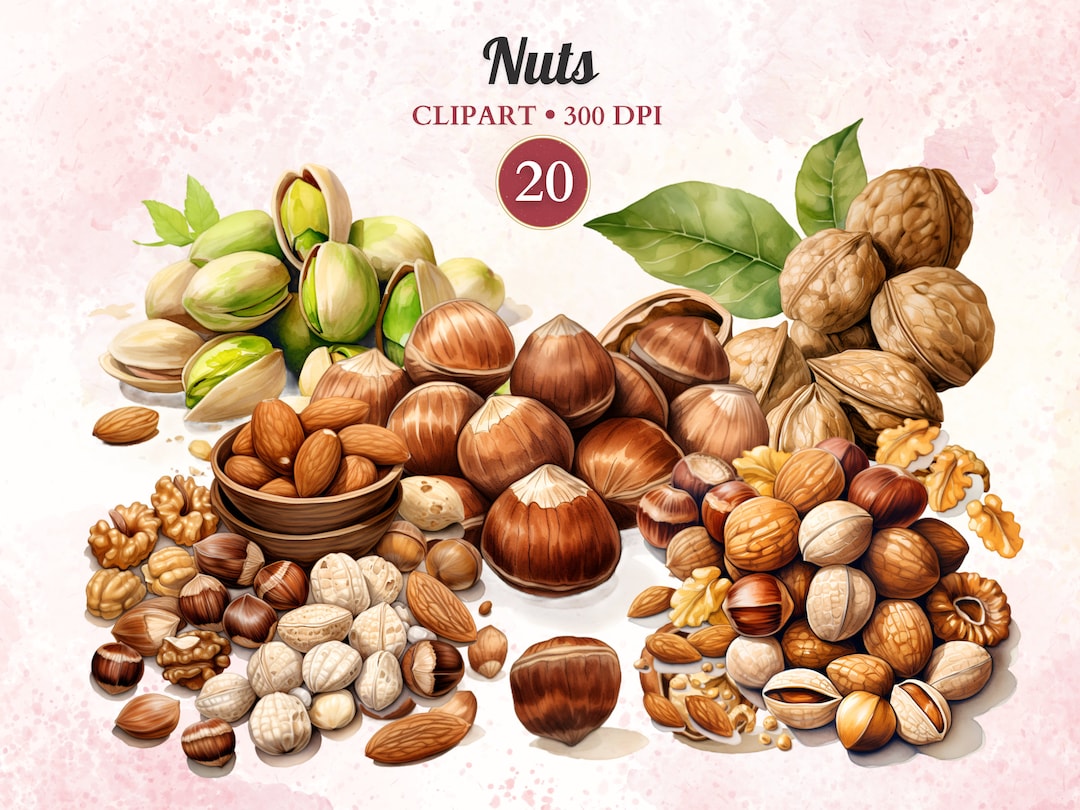Nuts Clipart, Nut Illustration, Hazelnut, Little Peanut, Walnut Png ...
