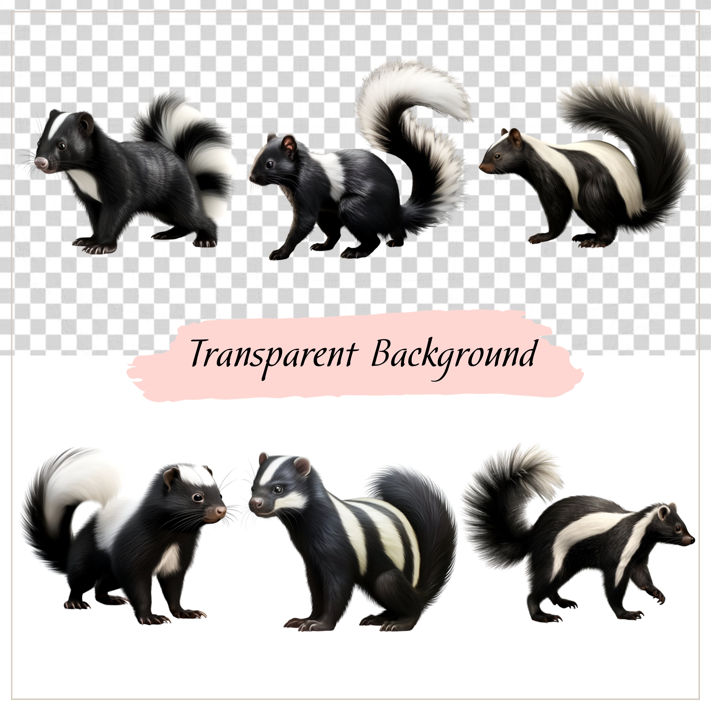 Skunk Clipart, Wild Animals, Skunk Png, Wildlife Clipart, Forest Png ...