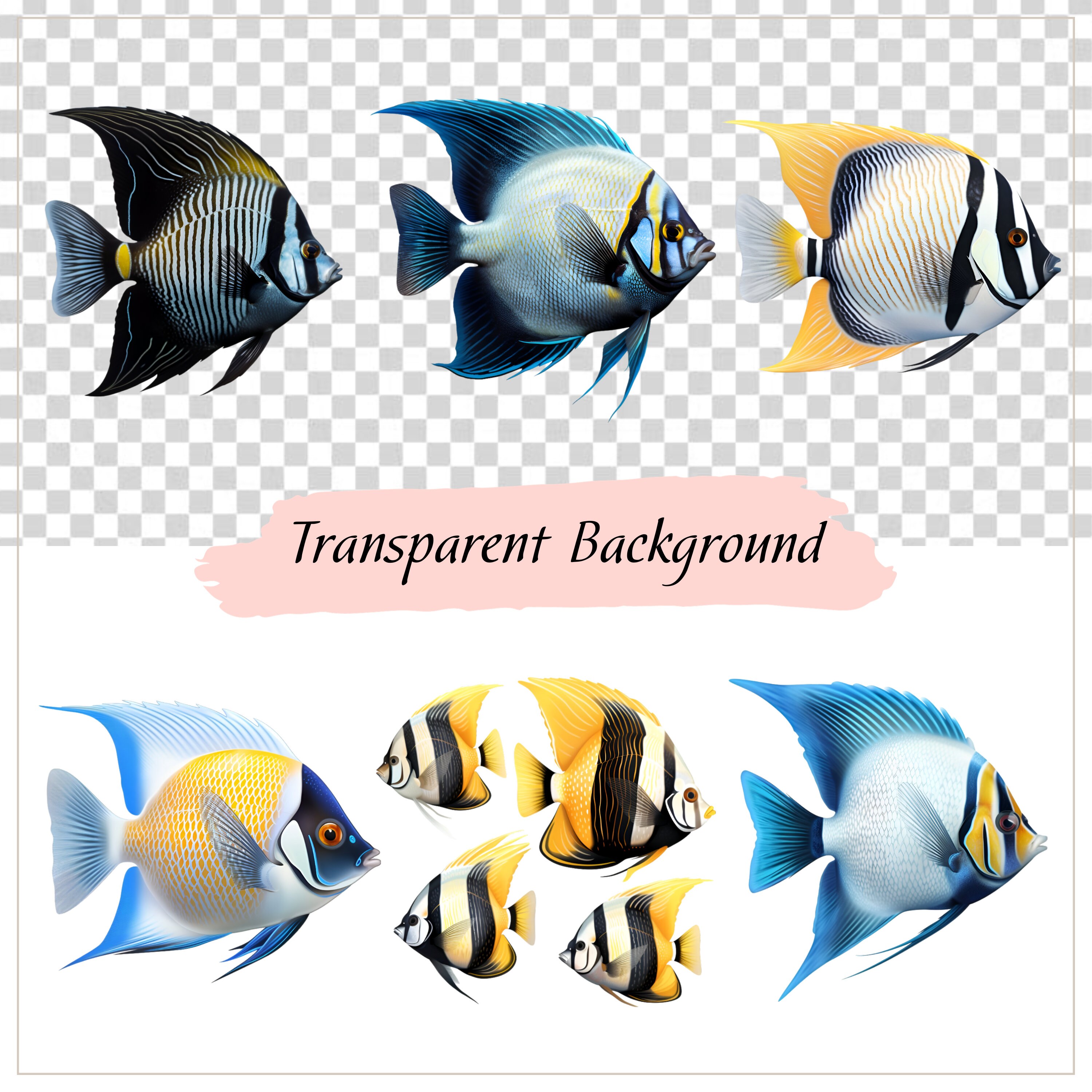 Angel Fish Clipart, Fish Png, Angelfish, Aquarium Clipart, Under the ...