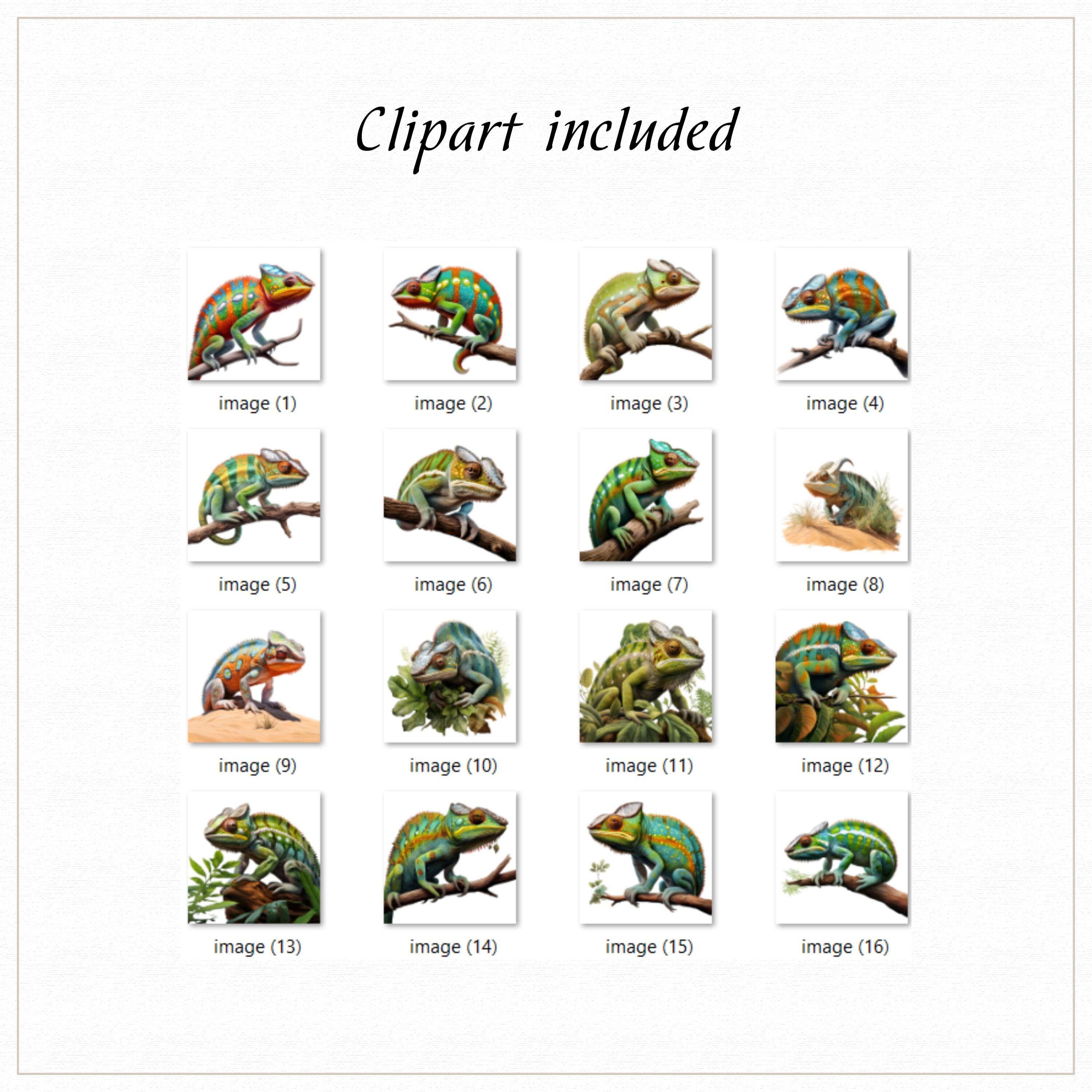 Chameleon Clipart, Chameleon Png, Lizard Clipart, Lizard Silhouette ...