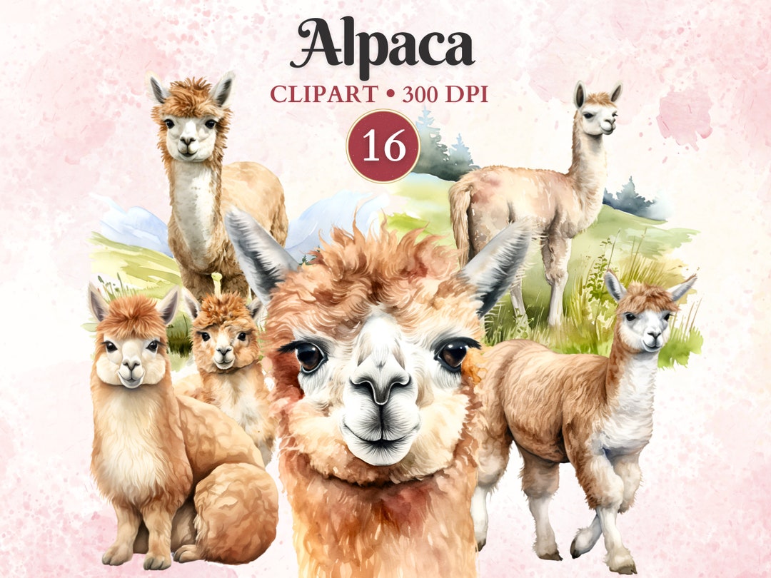 Alpaca Clipart, Alpaca Png, Alpaca Silhouette, Cute Alpaca, Alpaca ...