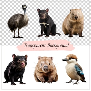 Wild Animals Clipart Bundle, Wombat, Tasmanian Devil, Kookaburra, Emu ...