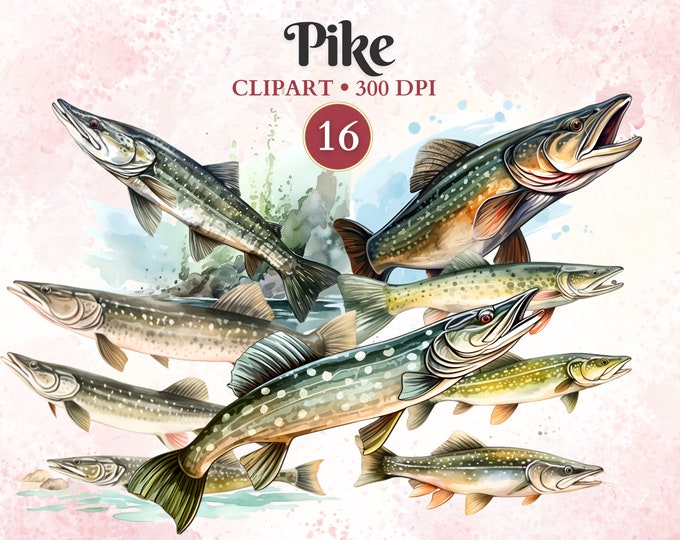 6 Pike Fish Clipart, Pike Clipart PNG, Fishing, Digital Graphic ...