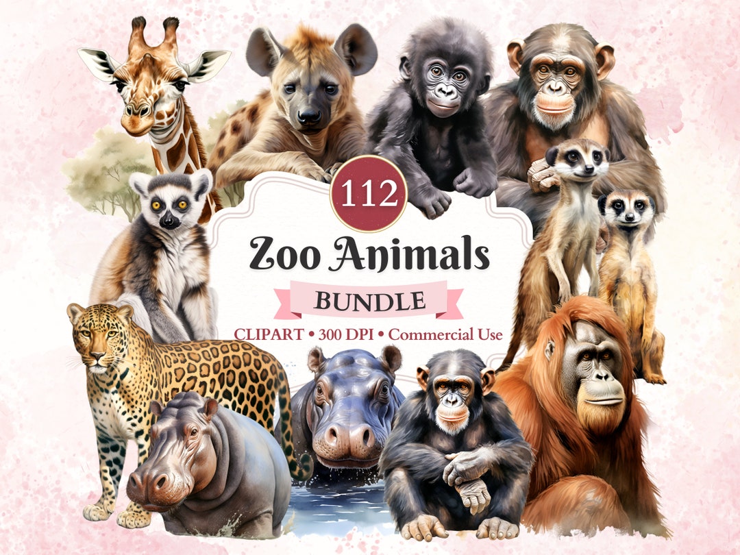 Zoo Animals Clipart Bundle, Lion, Zebra, Monkey, Giraffe, Hippo ...