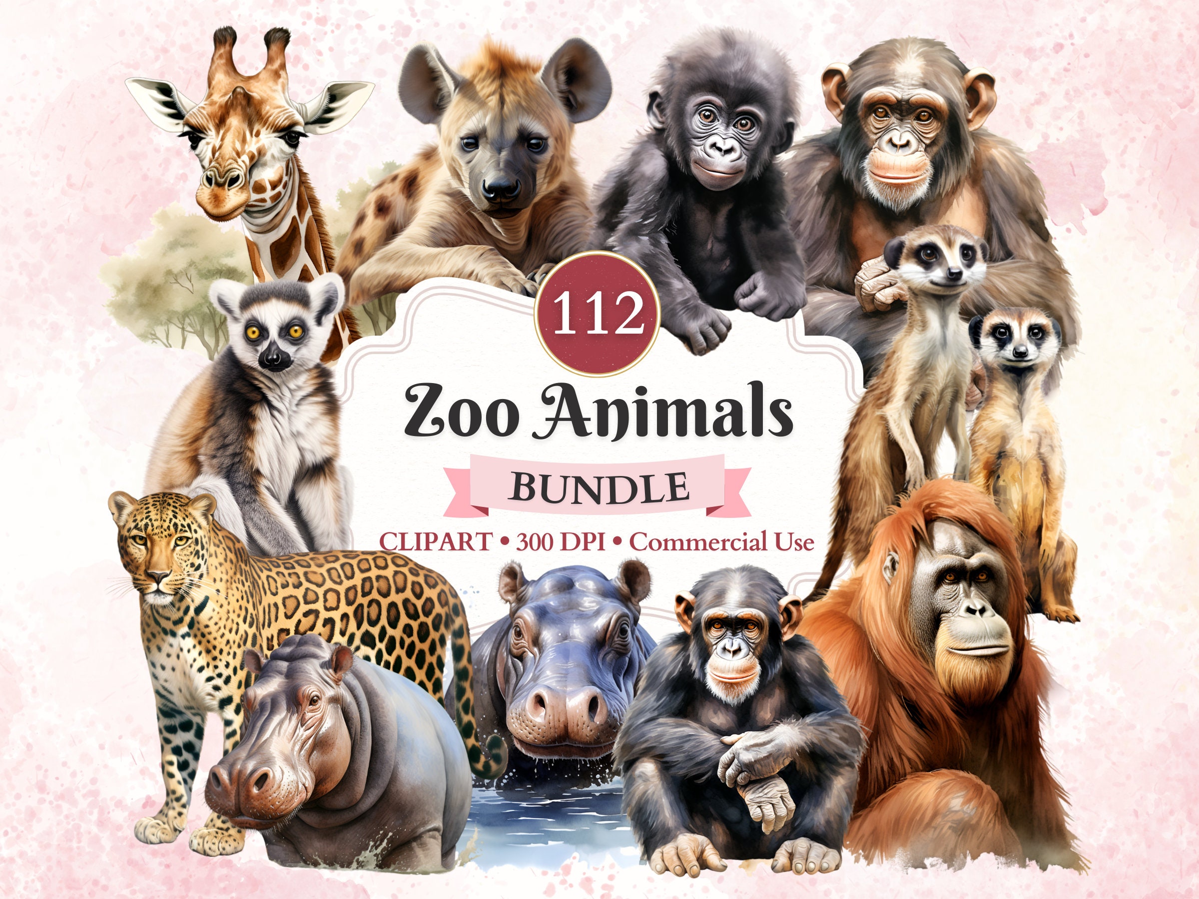 Zoo Animals Clipart Bundle, Lion, Zebra, Monkey, Giraffe, Hippo ...