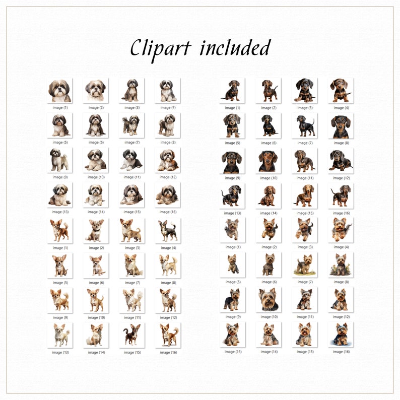 Dogs Breeds Clipart Bundle, Shih Tzu Png, Dachshund Vector, Cute ...