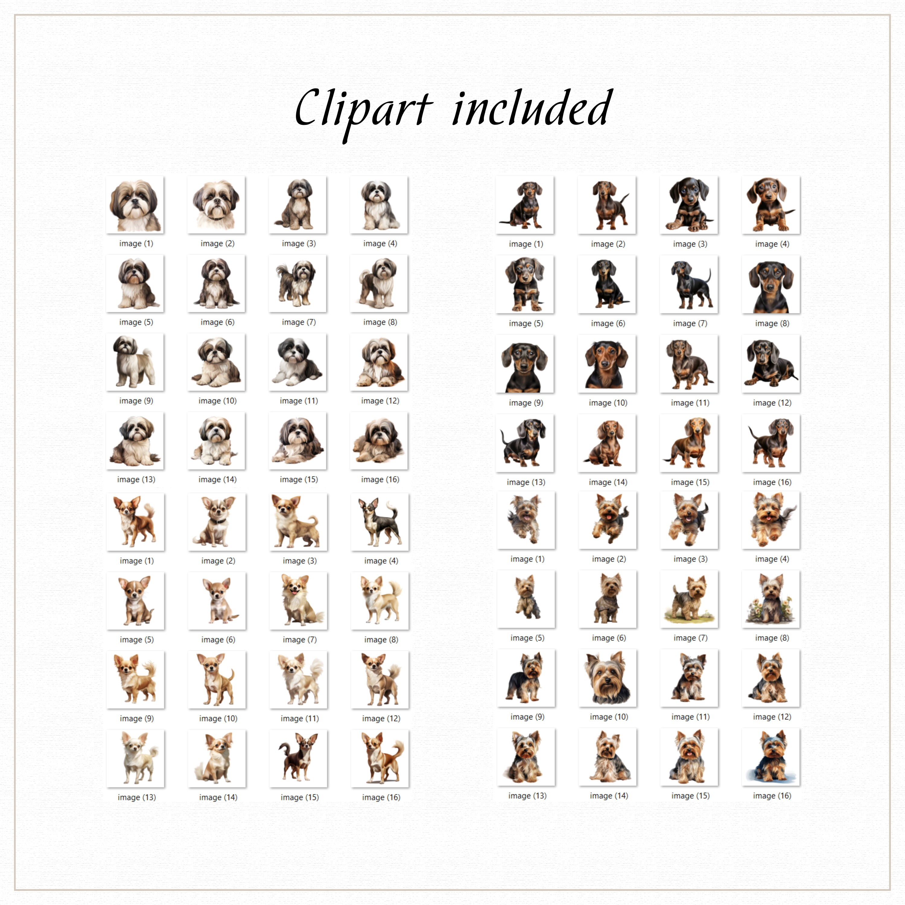 Dogs Breeds Clipart Bundle, Shih Tzu Png, Dachshund Vector, Cute ...