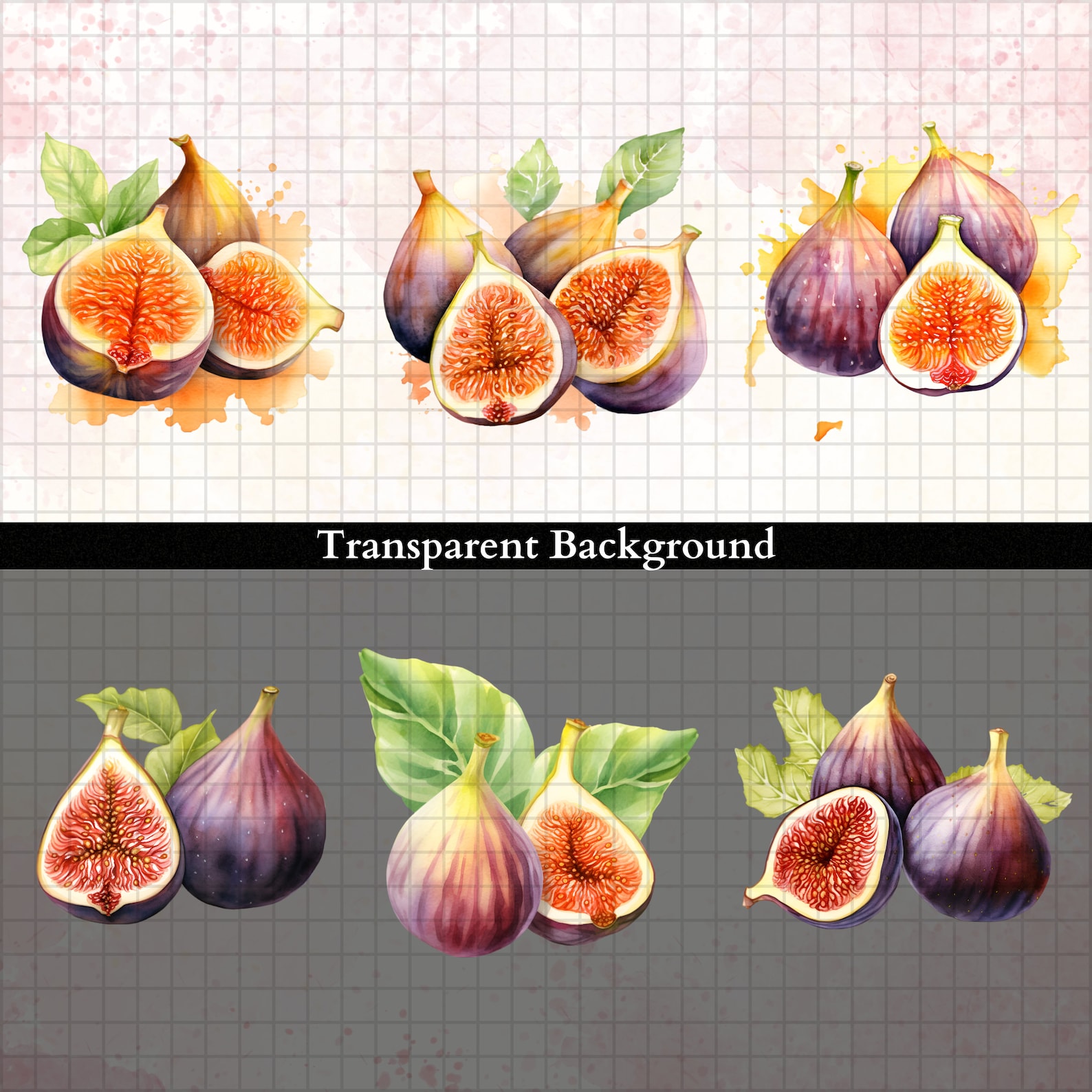 Fig Clipart, Fig Drawing, Tree Branch Png, Summer Vibes, Agriculture ...