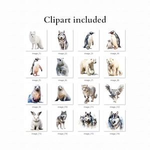 Arctic Animals Clipart, White Fox, Polar Animals, Polar Bear Png, North ...