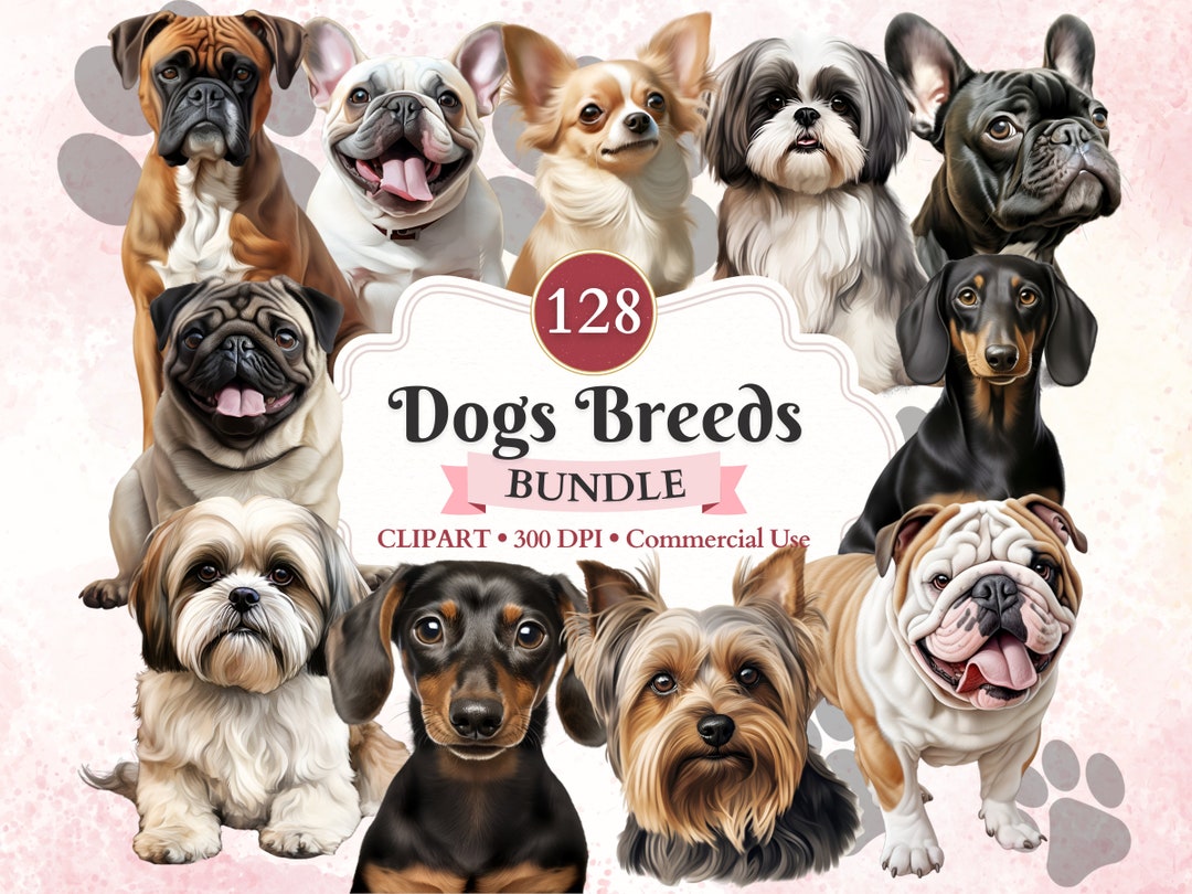 Dogs Breeds Clipart Bundle, Bulldog, Frenchie Png, Pug Vector, Boxer ...