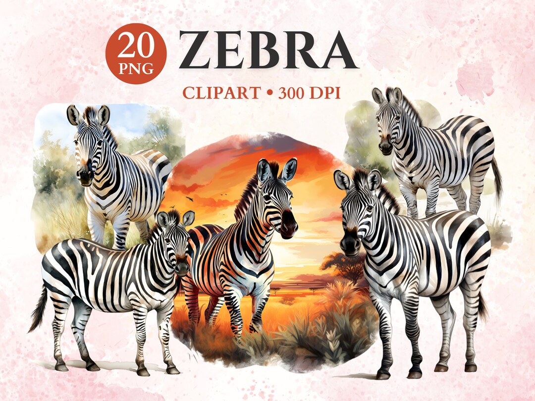 Zebra Clipart Watercolor Safari Clipart Zebra Png Safari - Etsy