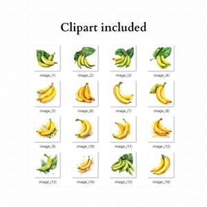 Banana Clipart, Banana Illustration, Healthy Food Clipart, Tropical ...