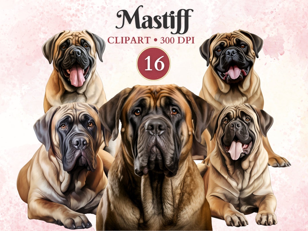 Mastiff Clipart, English Mastiff, Dog Silhouette Clip Art, Pet Graphics ...