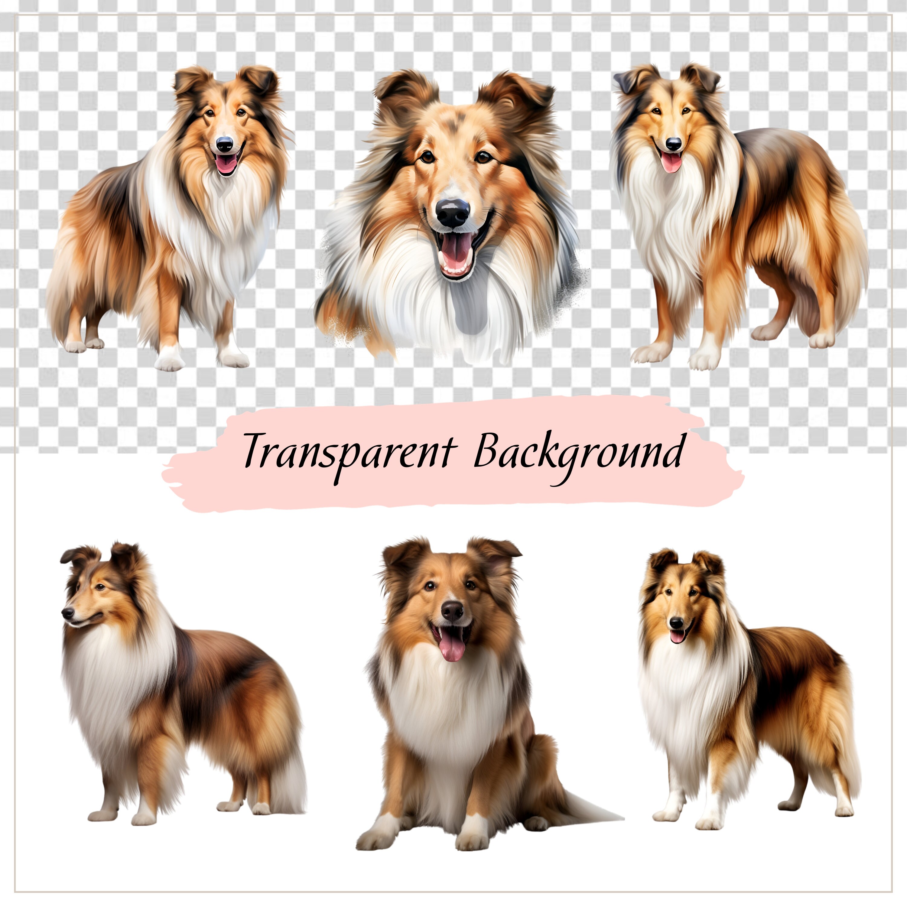 Shetland Sheepdog Clipart, Collie Clipart, Herding Dog Art, Pet Graphics, Pet Vector Art, Canine ...