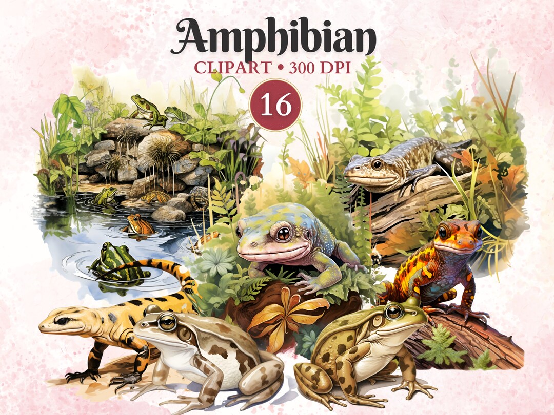 Amphibian Clipart, Frog Clipart, Frog Vector, Salamander Png, Tadpole ...