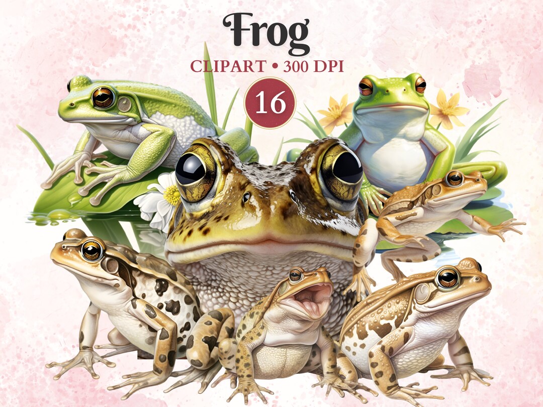 Frog Clipart, Frog Png, Frog Vector, Amphibian Clipart, Swamp, Pond ...