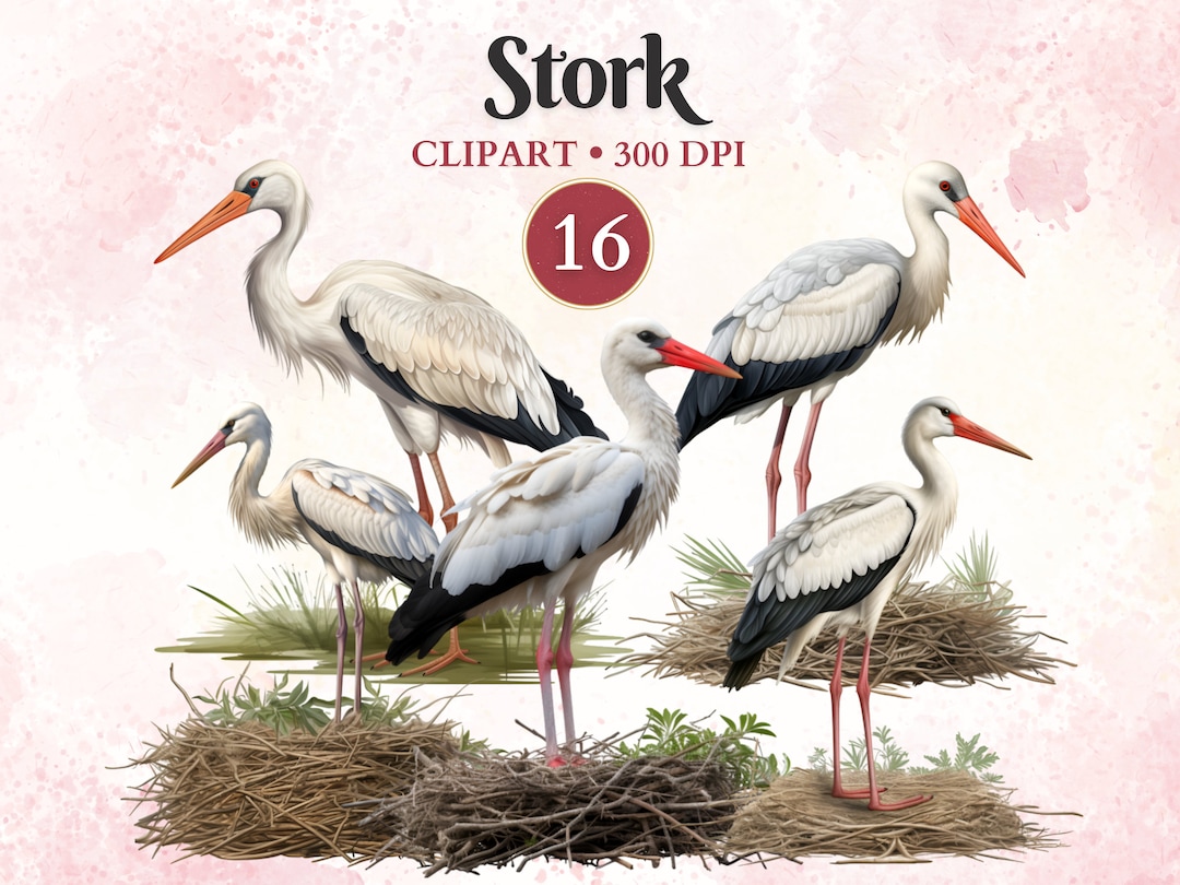 Stork Clipart, Stork Png, African Animals, Bird, Jungle Clip Art ...